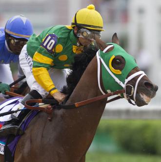 El uso de las Gringolas en el Caballo de Carrera (Parte 1) :: El ...